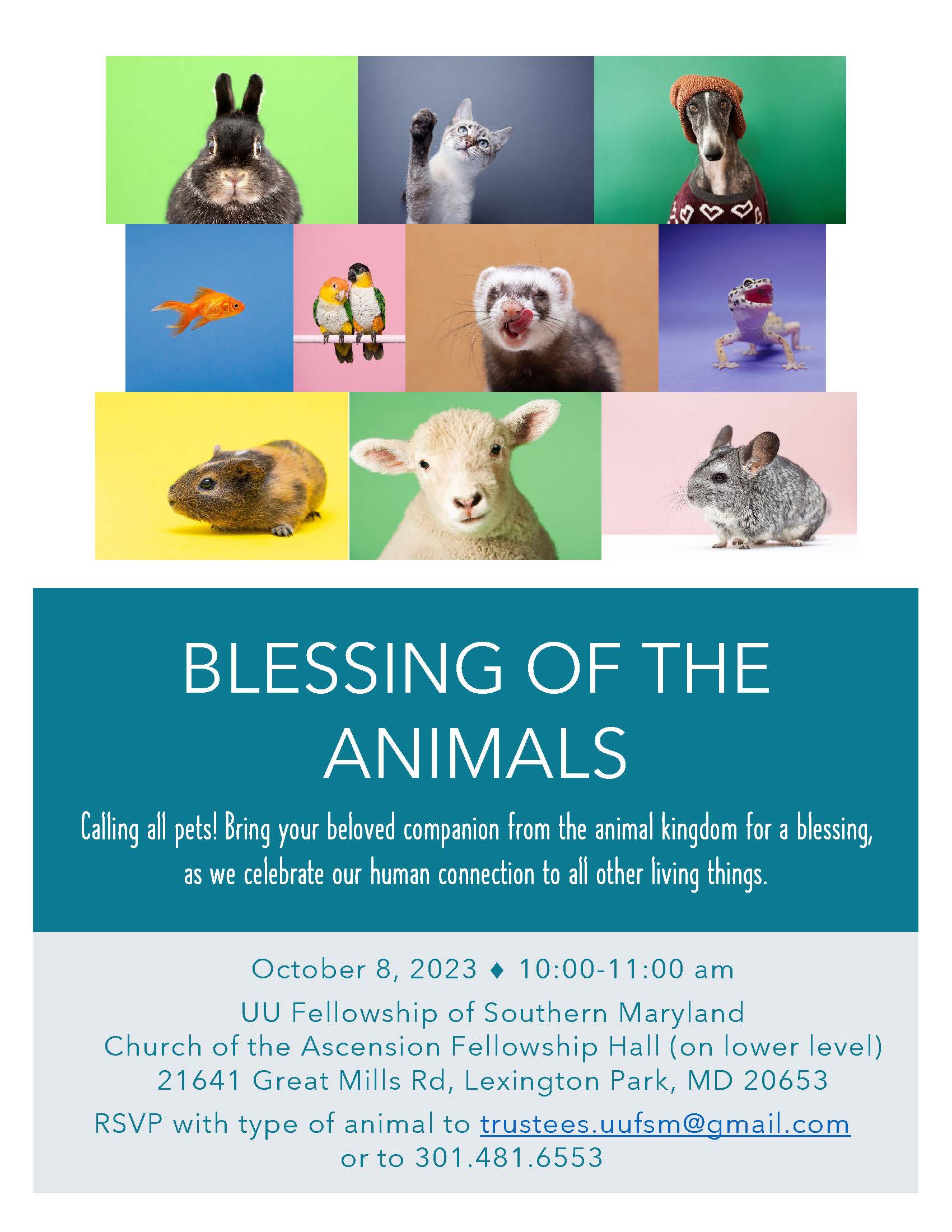 animal blessing 2023 flyer _Page_1 - Unitarian Universalist Fellowship ...